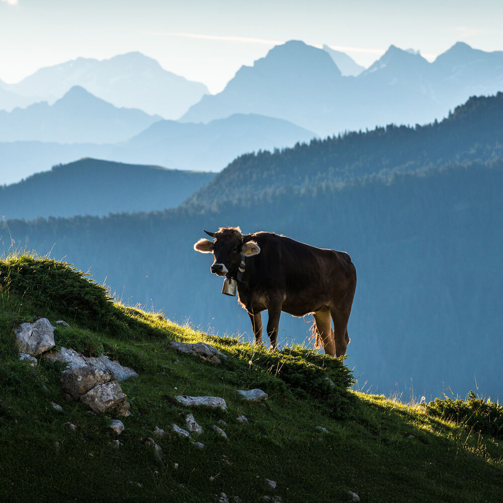 landwirtschaftliche Bildung